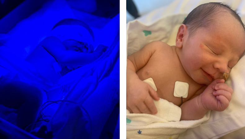 Humpty Dumpty Foundation - News - Digby and the 'Good Egg'